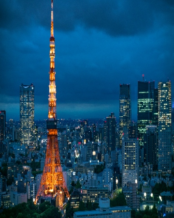 Tokyo Airport Taxi & Private Transfer Service - Rydeu.com